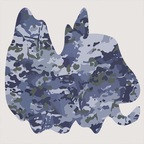 Australian RAAF | Mega Camo