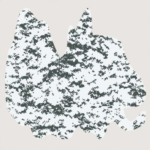 Canadian Arctic CADPAT Archives | Mega Camo