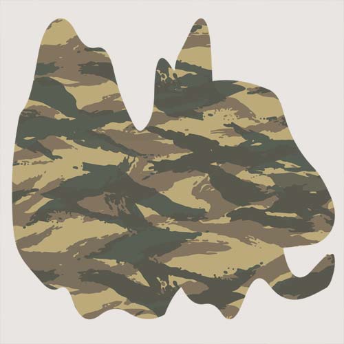 French Lizard Second Pattern Archives | Mega Camo