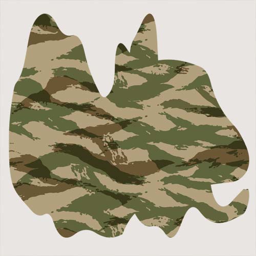 French Lizard Third Pattern Archives | Mega Camo