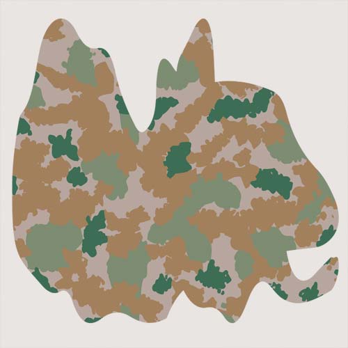 East German DDR M58 Flachtarnenmuster Archives | Mega Camo