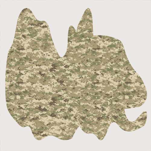 US AOR Universal Archives | Mega Camo